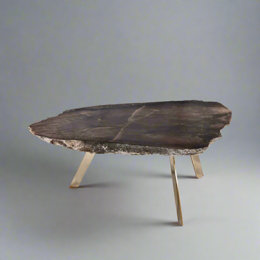 Cortex Coffee Table – Bonham Gallery