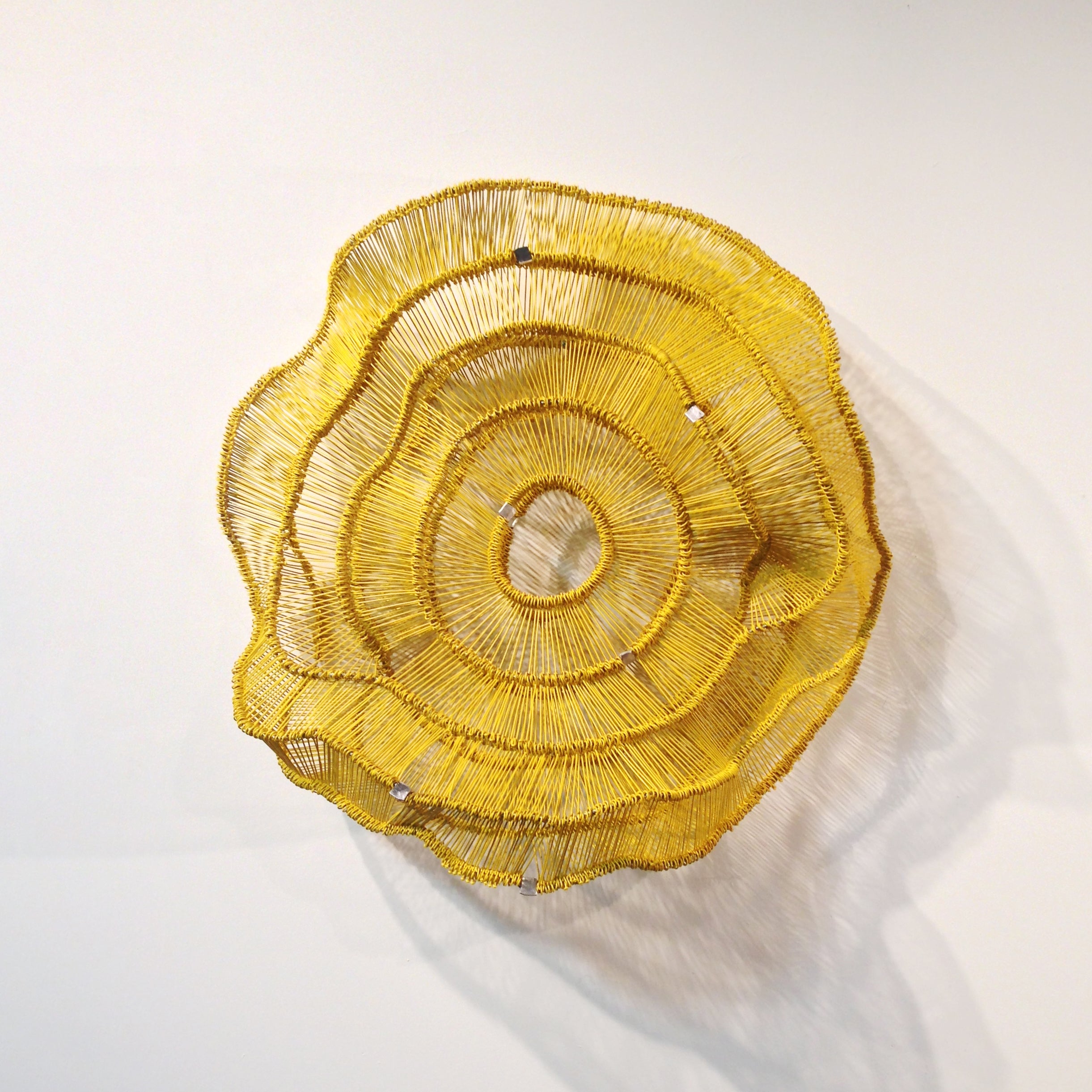 Emergence Y Series #1 – Bonham Gallery