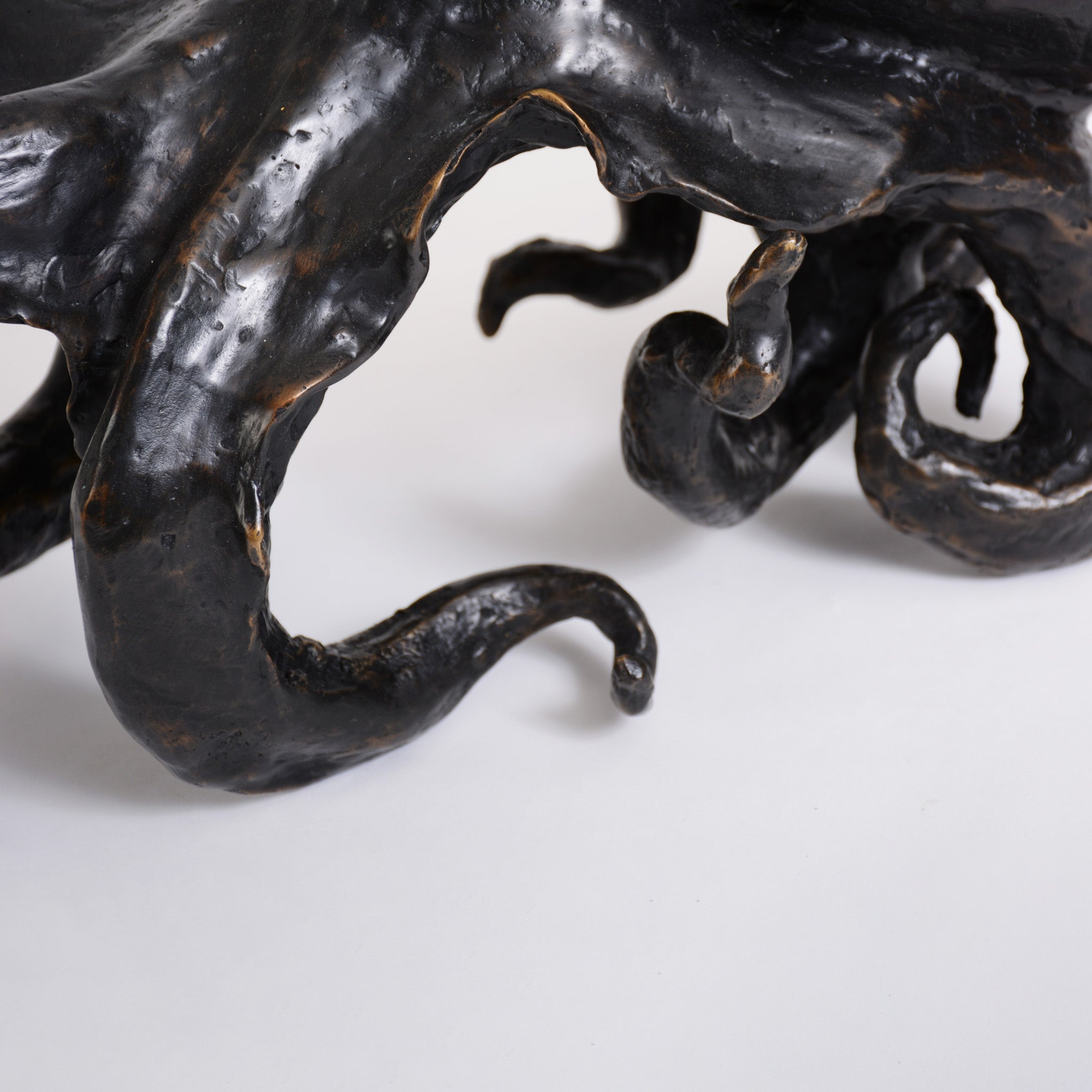 Octopus Sculpture – Bonham Gallery