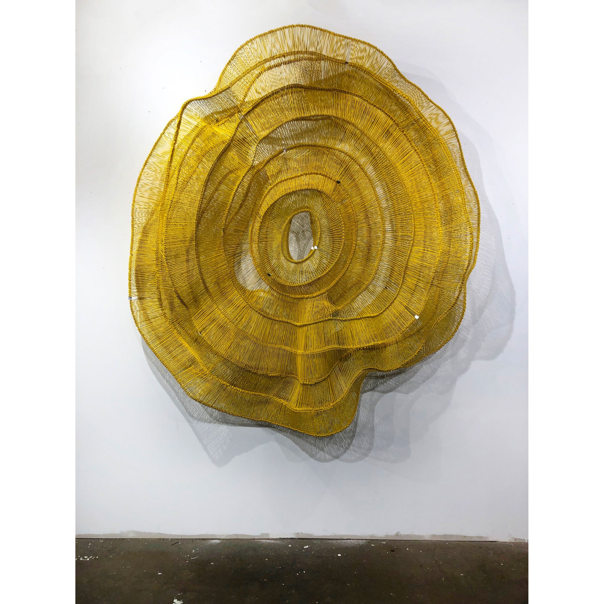 Emergence Series – Bonham Gallery